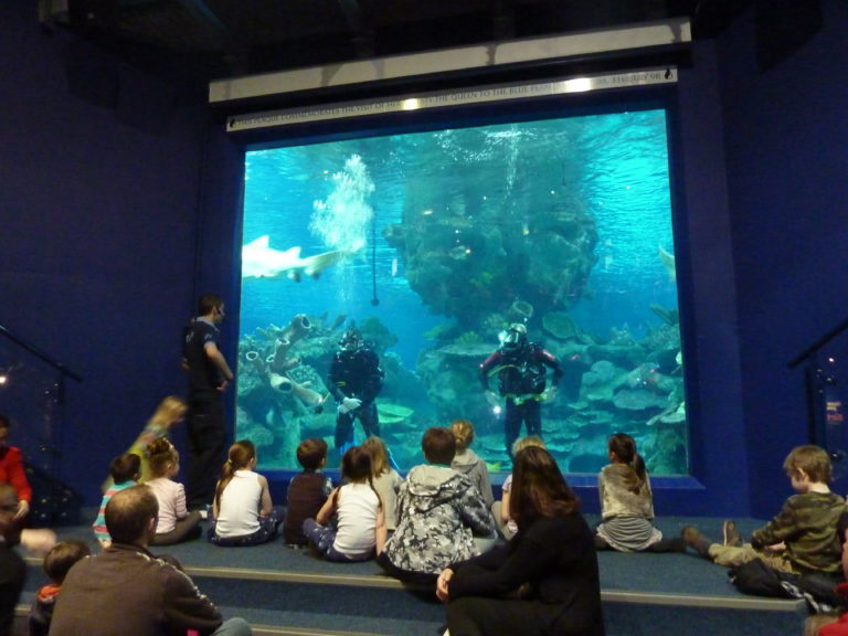Blue Planet Aquarium - Cheshire England - Planet Full Of Love